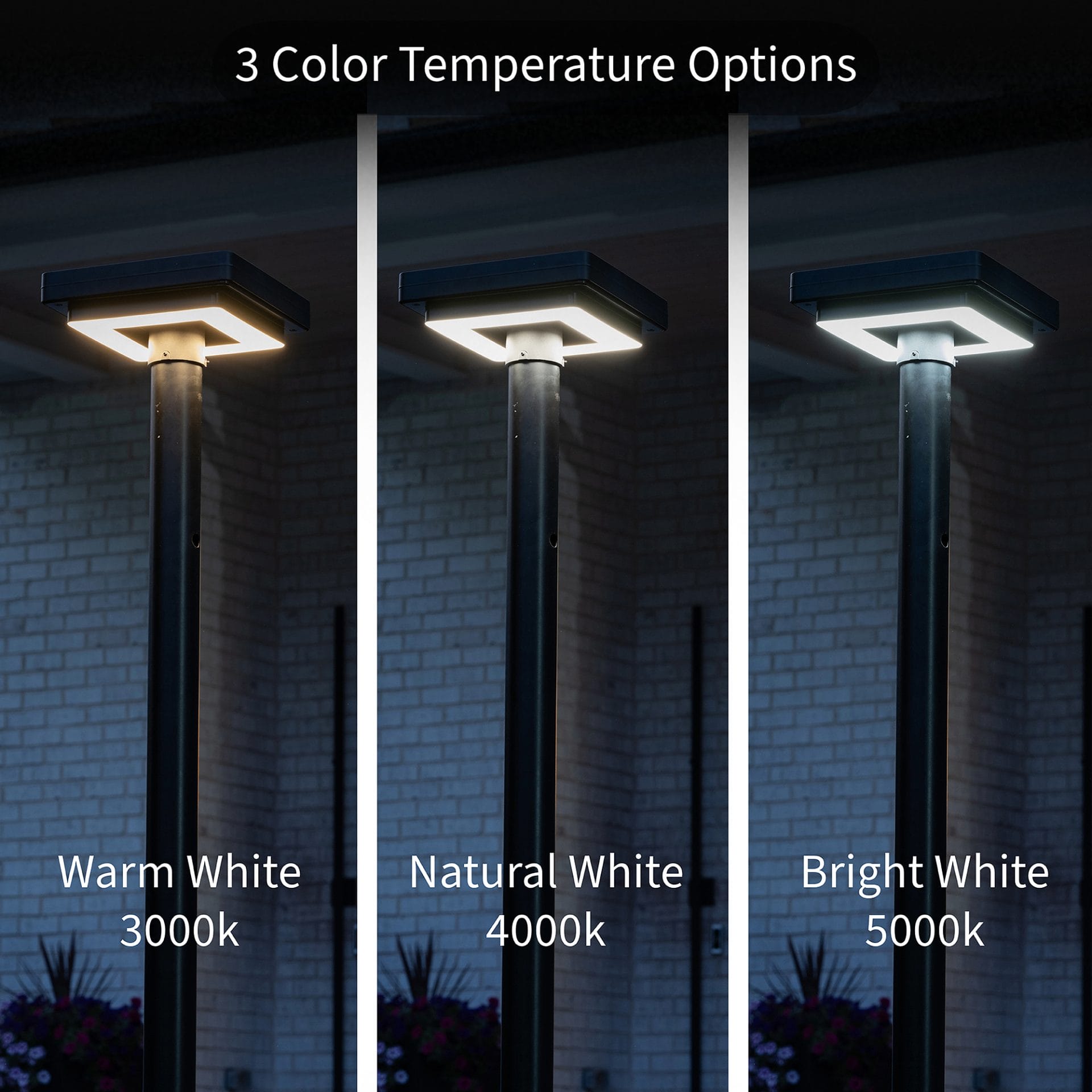 Enhancing A Modern Home Appeal with Illuminating Innovative Solar ...